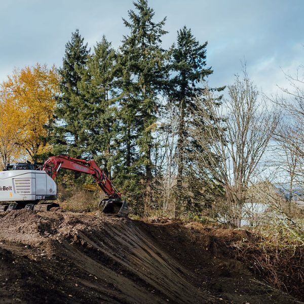Top Excavation Company Near Me | Newton Valley Excavating